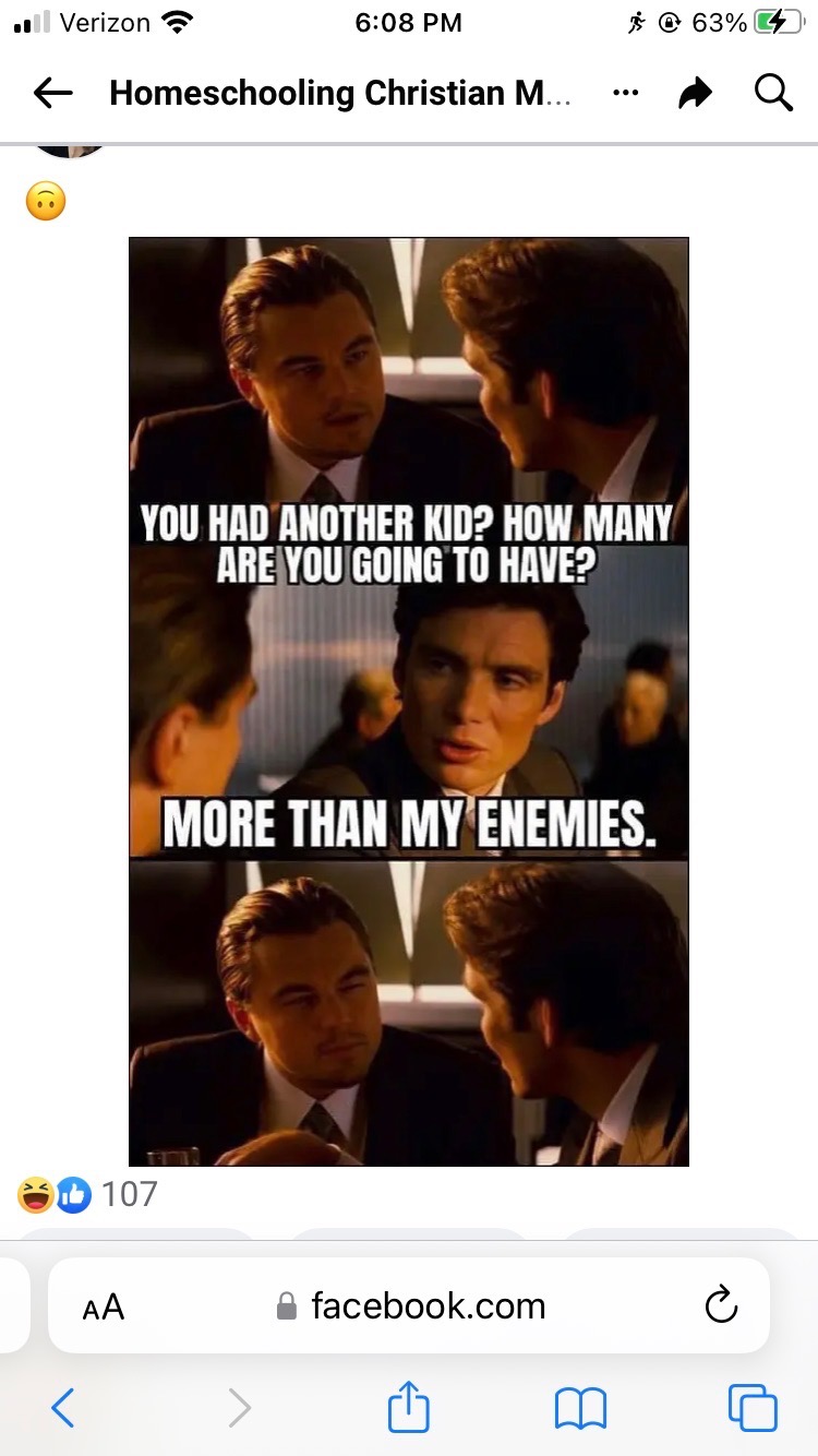 How Common are Large Latter-day Saint Families? – Times & Seasons